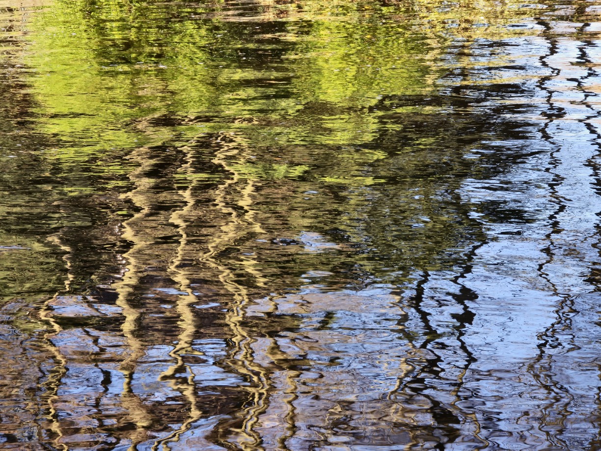 inside and outside the body – Taoist philosophy in movement